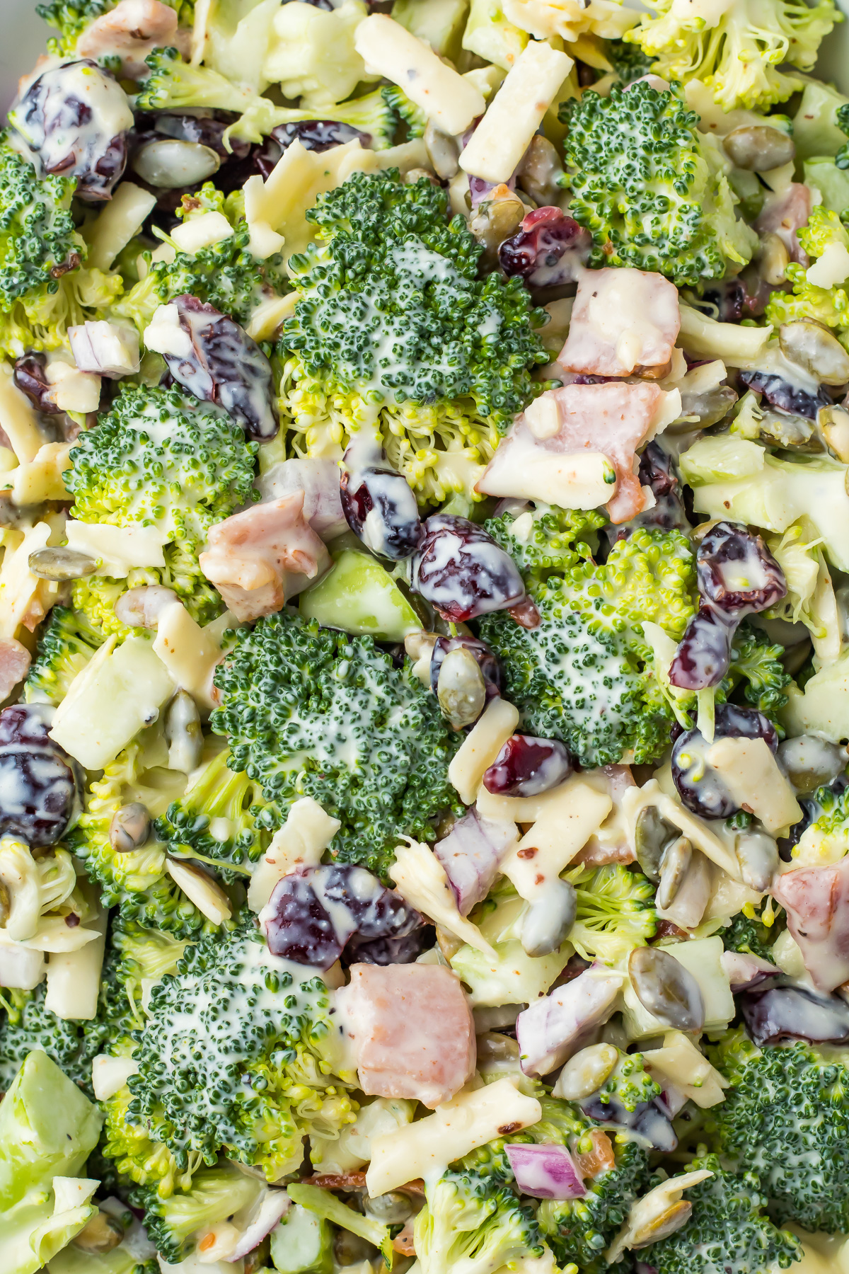 Broccoli Salad (With Bacon and Cranberries)